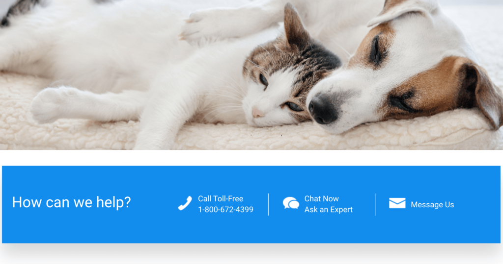 Learn from Chewy to Improve Your Customer Experience |SharpenCX|